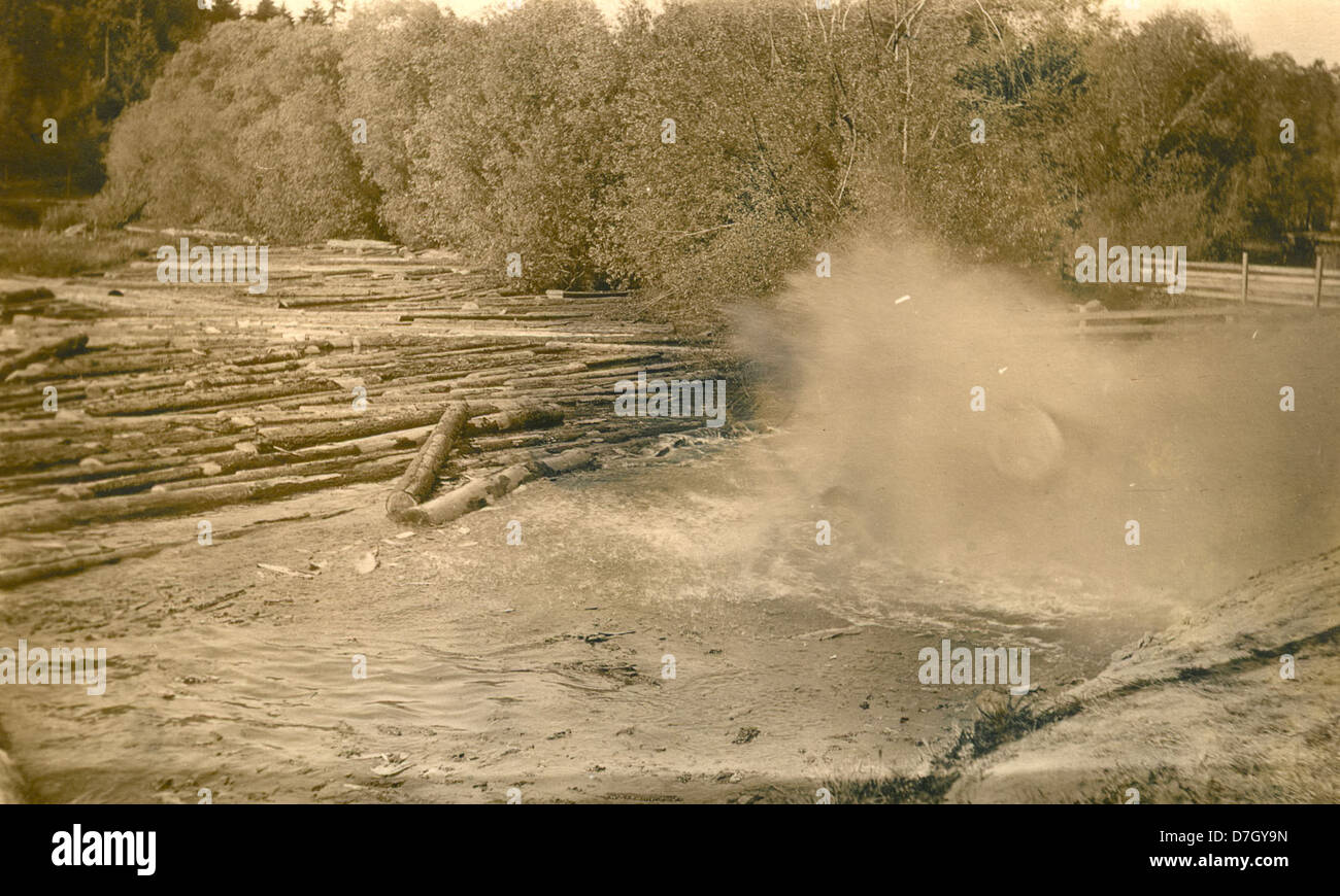 Log pond at Leona, Oregon Stock Photo - Alamy