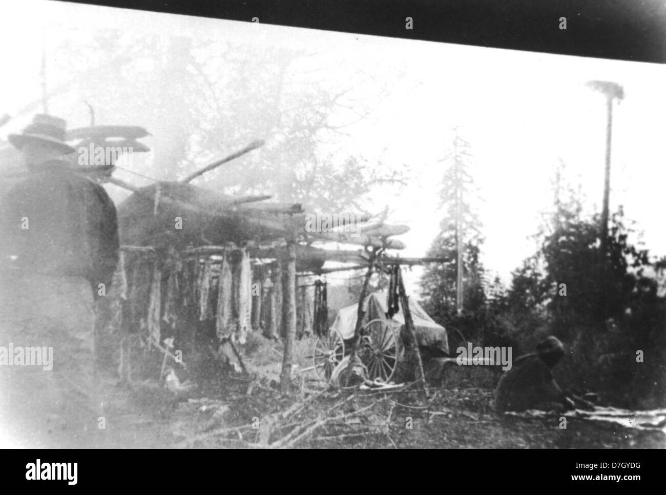 Salmon drying indigenous hi-res stock photography and images - Alamy