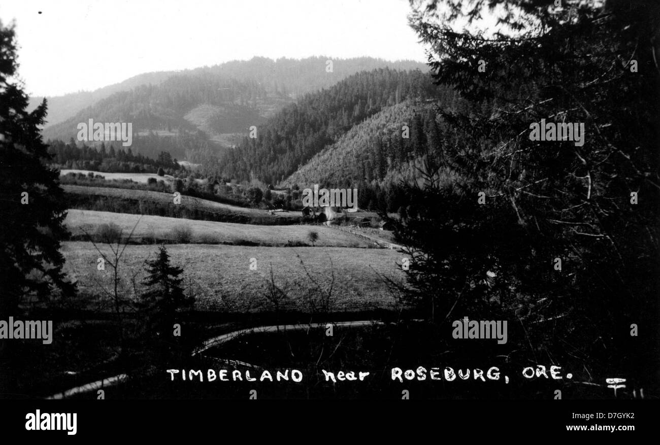 This photograph from the Gerald W. Williams Collection shows a ...