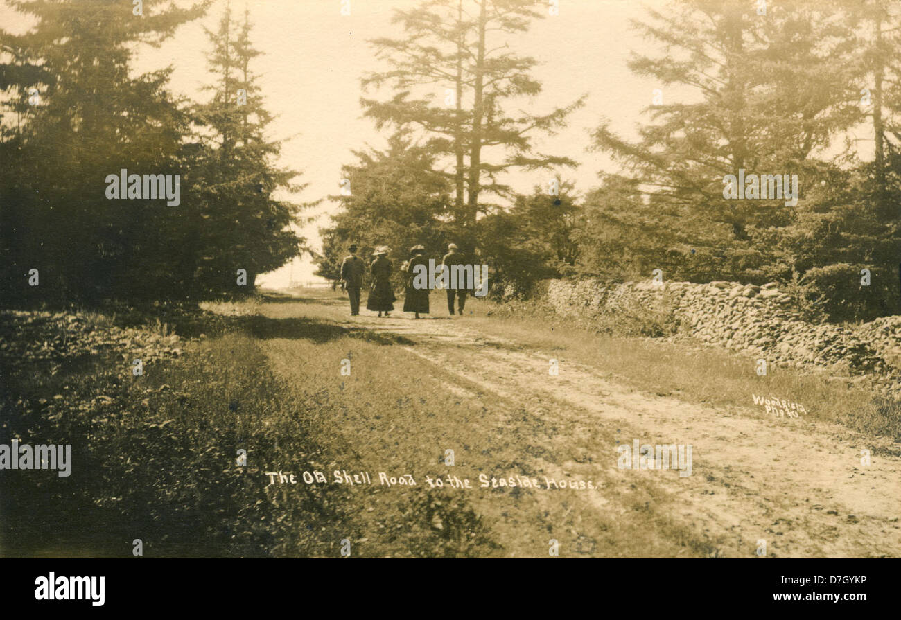 A vintage real photo postcard showing the old shell road leading to a ...