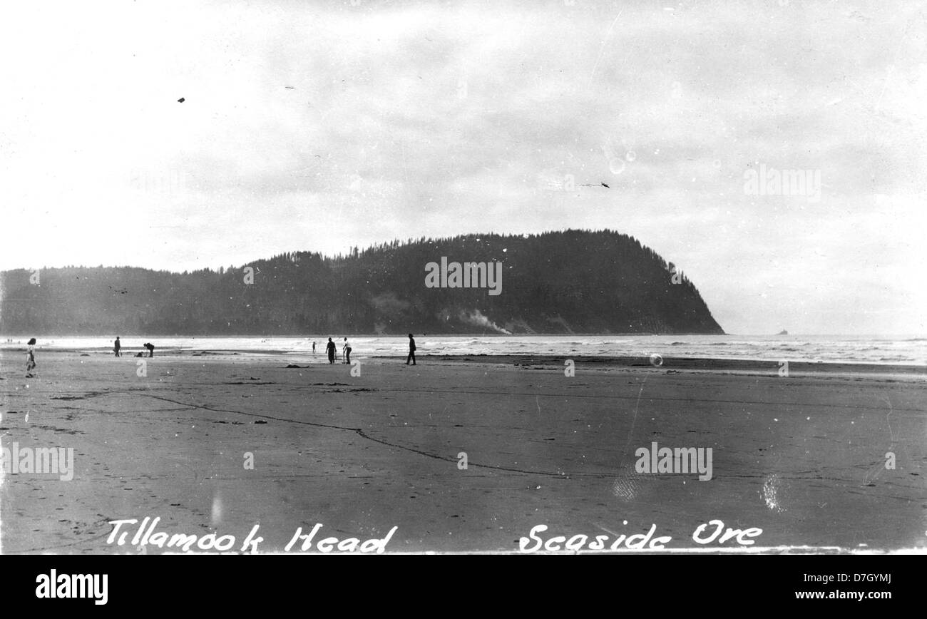 A scenic view of Tillamook Head near Seaside, Oregon, captured in this ...