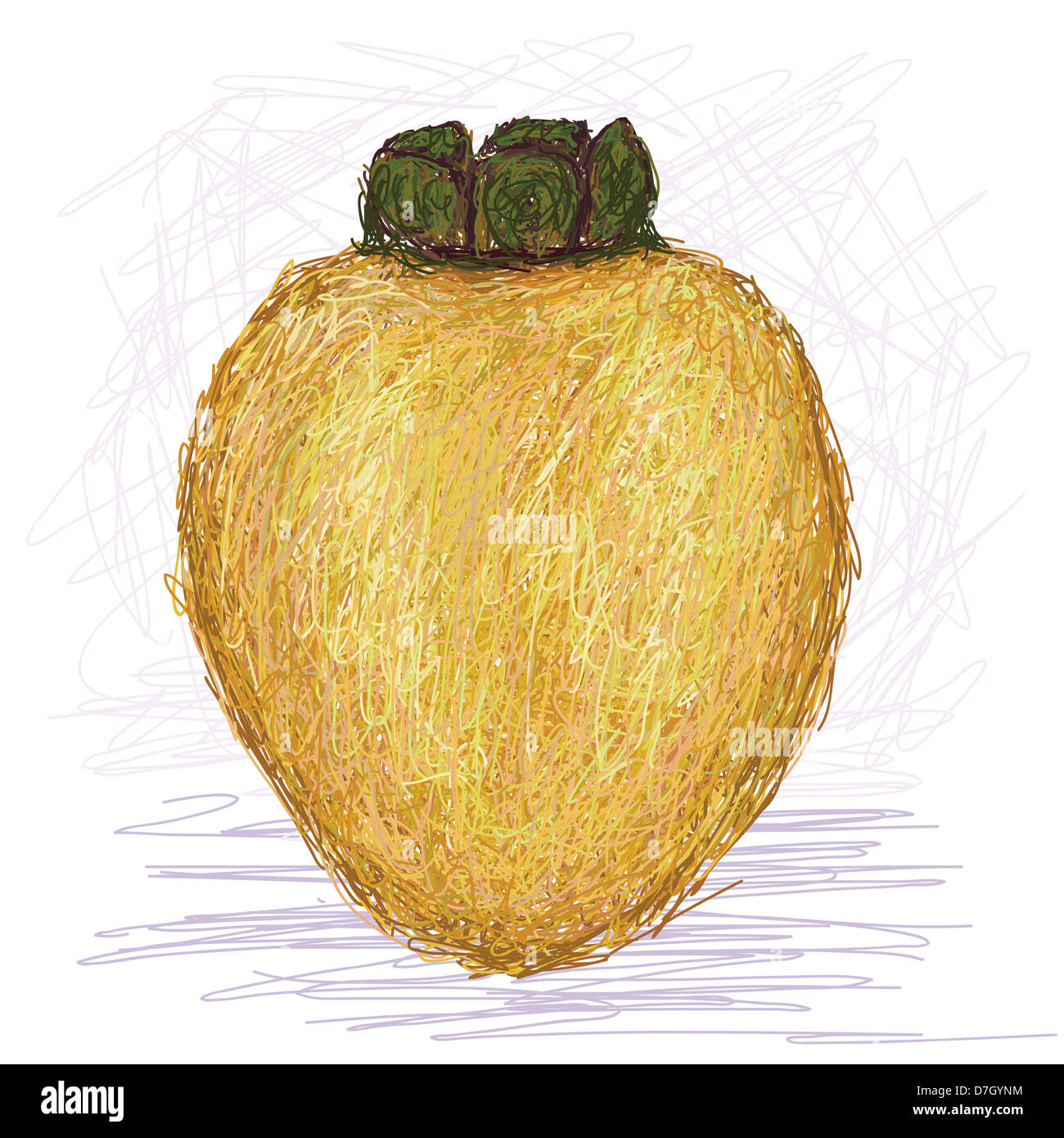 Rose apple scientific name syzygium Cut Out Stock Images & Pictures - Alamy