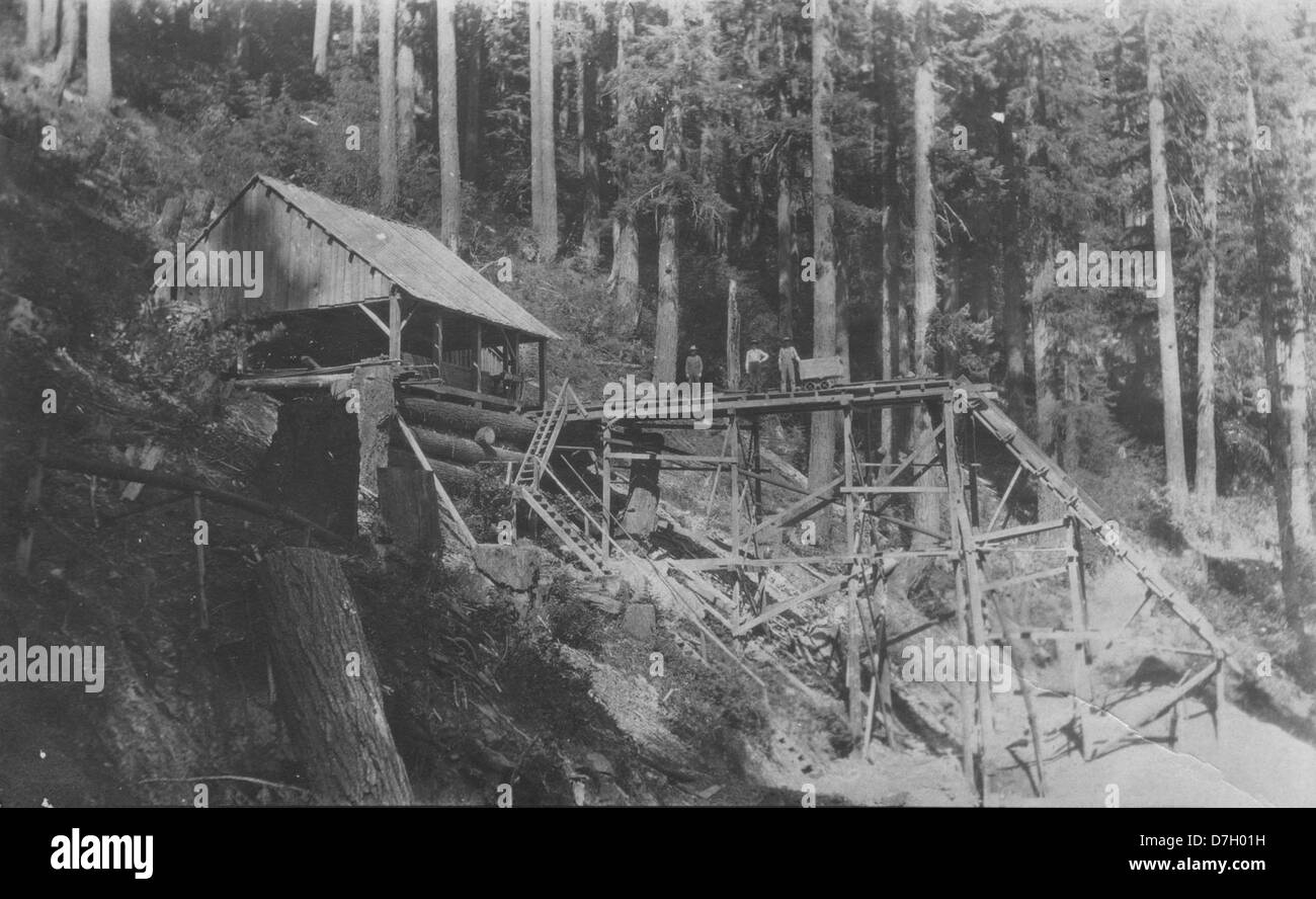 A historic photograph of a mine located near Woodburn, Oregon, part of ...