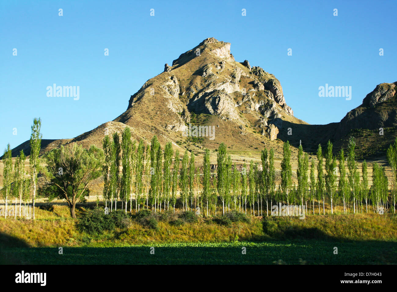 Landscape with mountains and trees in Turkey Stock Photo - Alamy