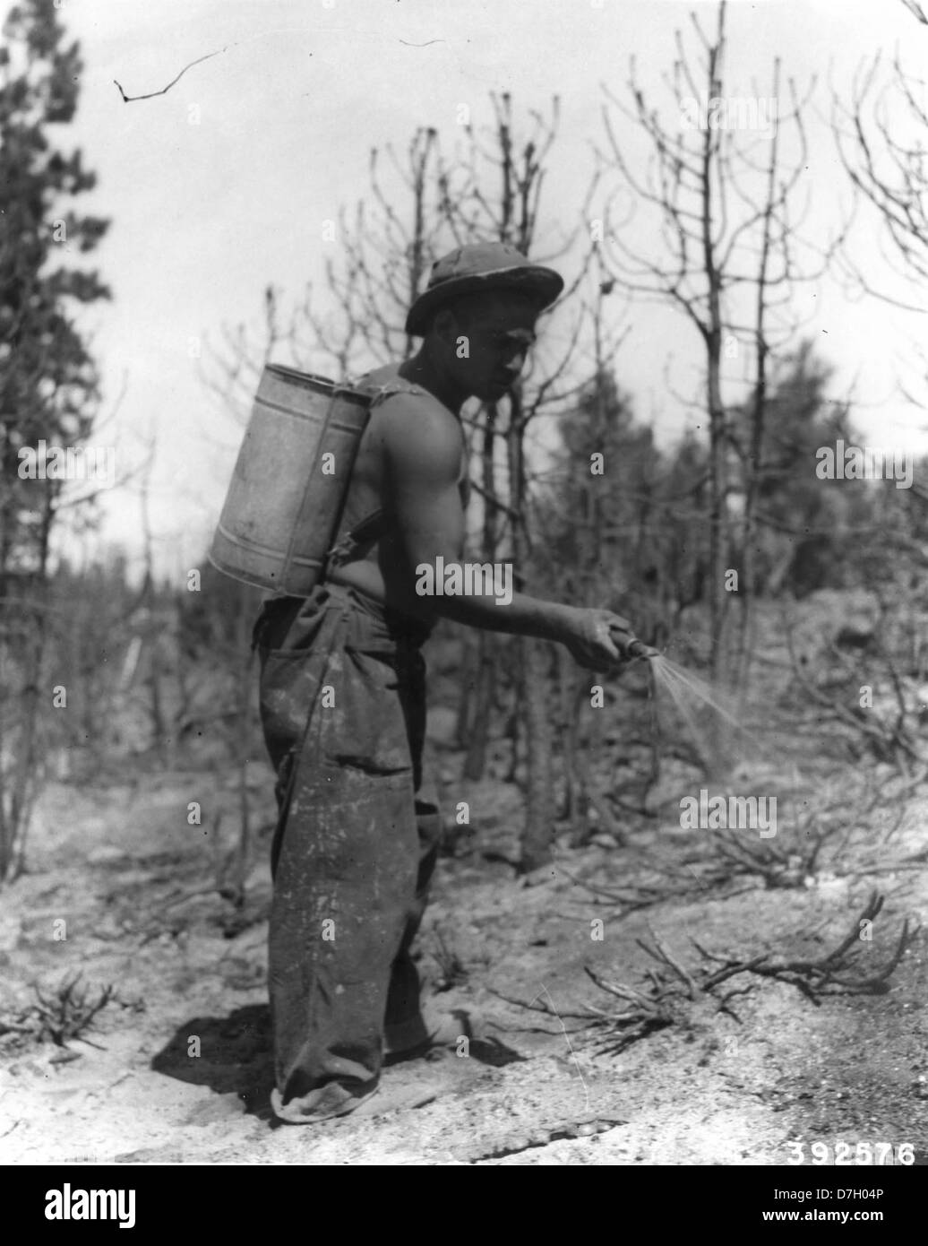 Water pack in action fighting a fire, Deschutes National Forest Stock ...