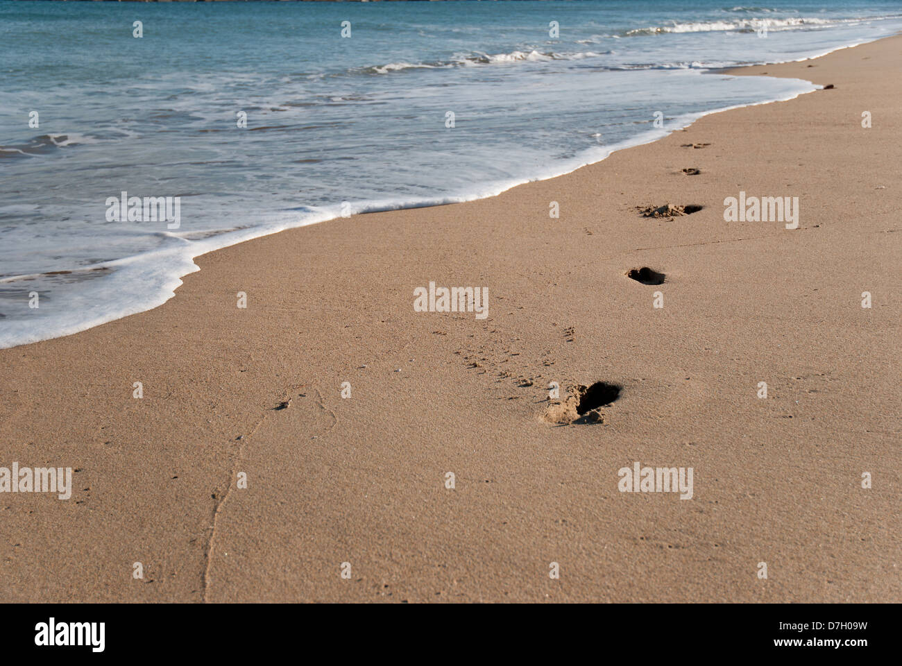 footprints in the sand on the beach Stock Photo - Alamy
