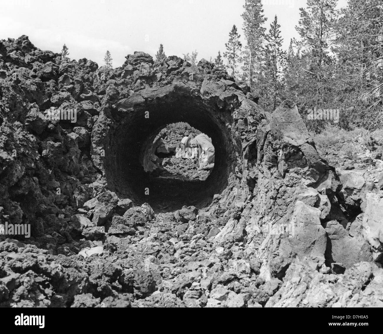 Lava cast of a three foot pine log near Bend, Oregon Stock Photo - Alamy