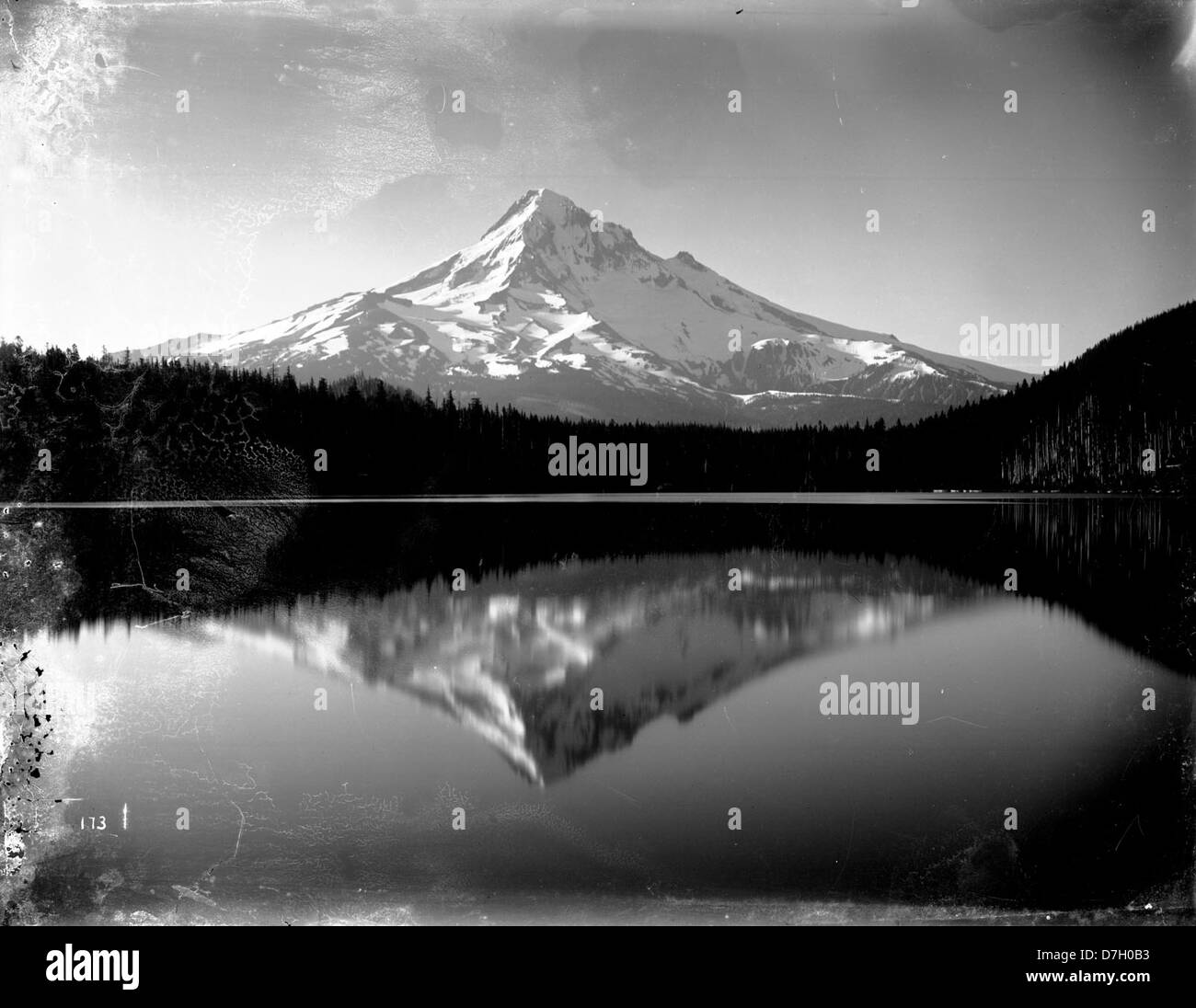 Benjamin a Black and White Stock Photos & Images - Alamy