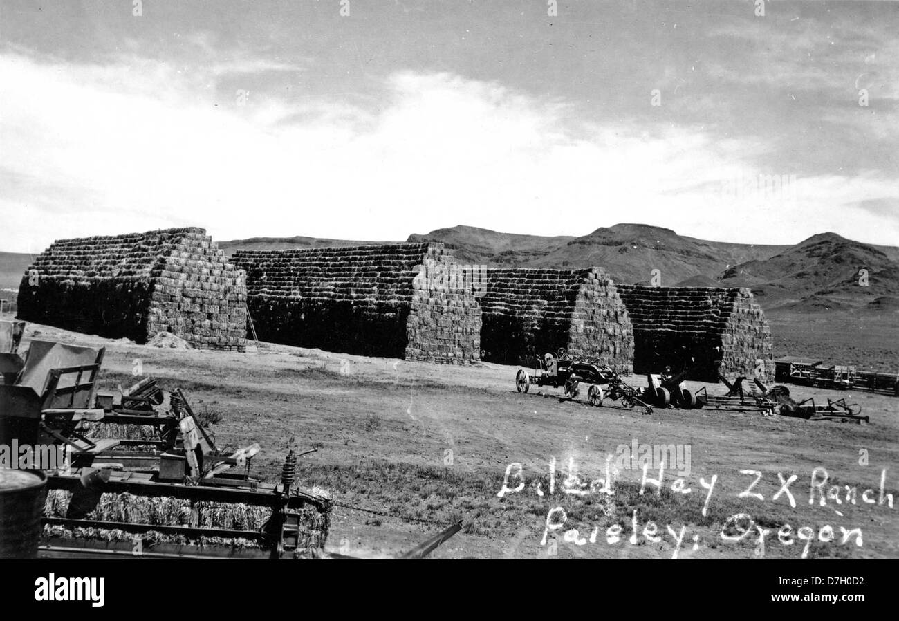 Baled hay, ZX Ranch, near Paisley, Oregon Stock Photo - Alamy