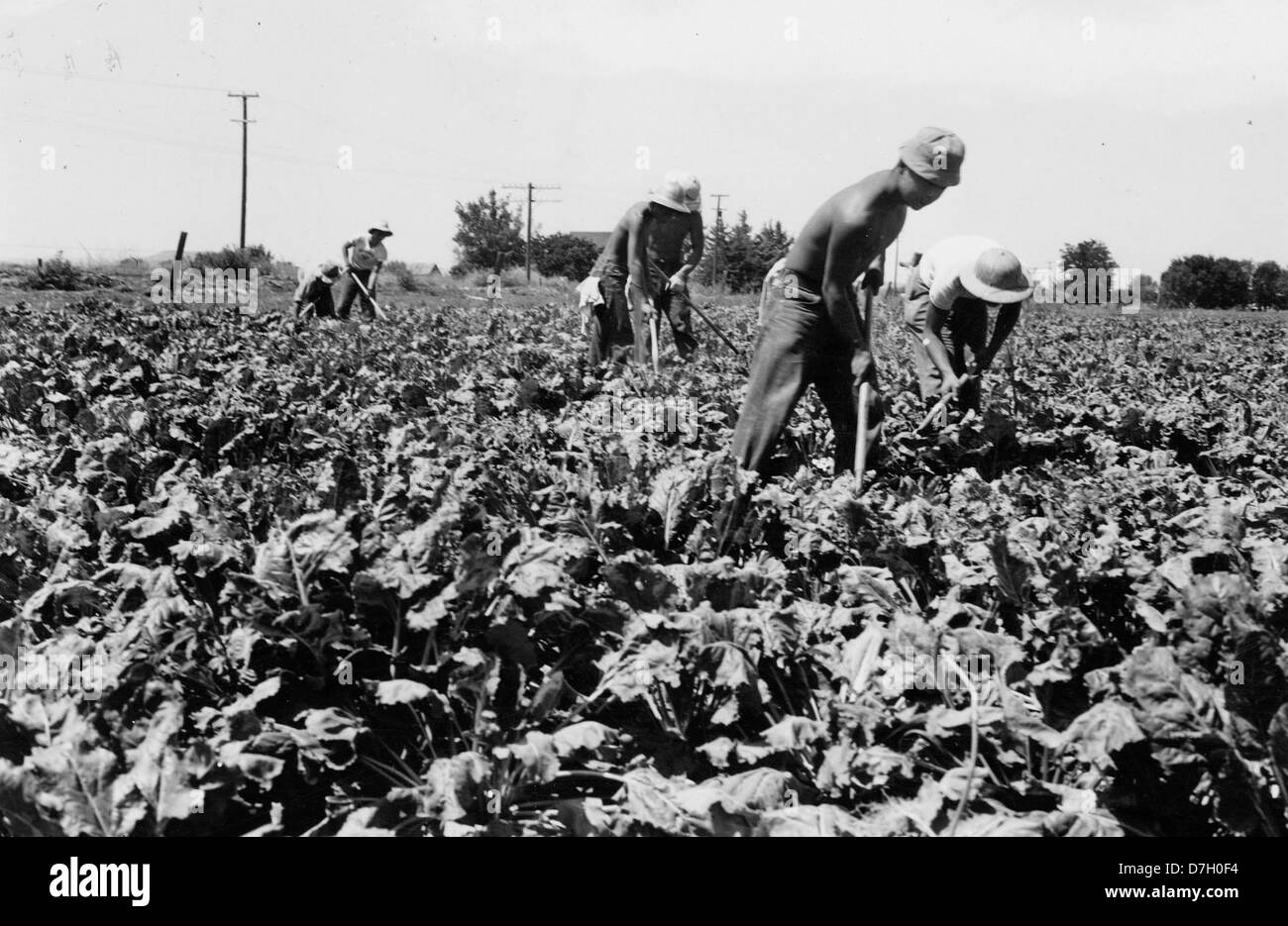 Identifier cultural73 dc hi-res stock photography and images - Alamy