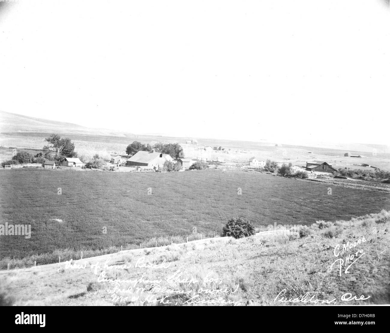 This historical image shows the Cunningham Sheep Company's home ranch ...