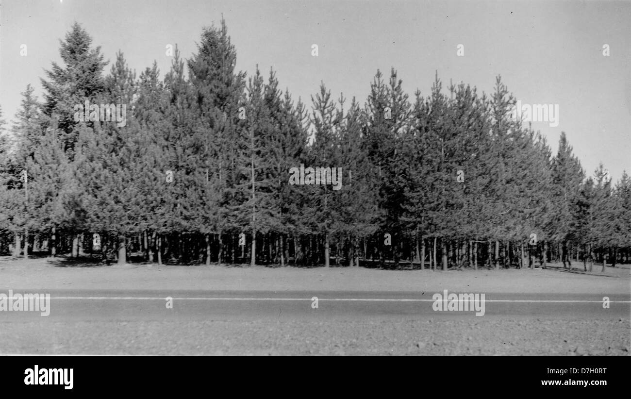 Plimsoll line hi-res stock photography and images - Alamy