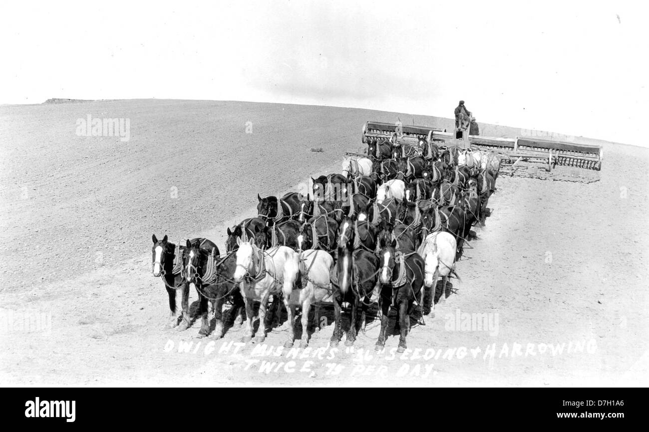 Seeding Black and White Stock Photos & Images - Alamy