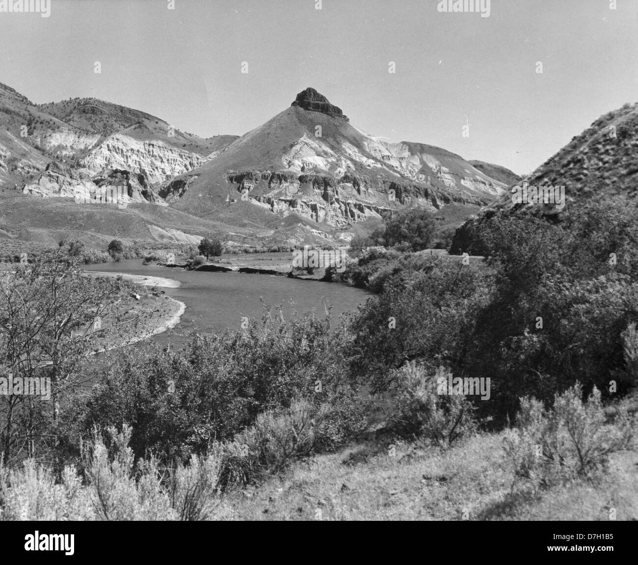 Fossils in oregon hi-res stock photography and images - Alamy