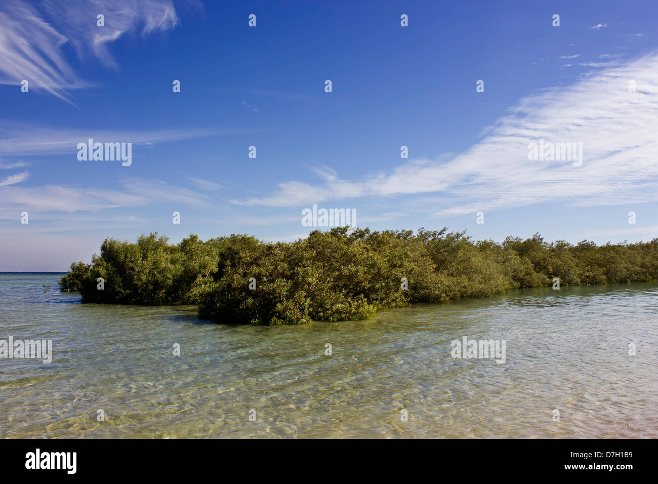 Nabq National Park Egypt Stock Photo - Alamy