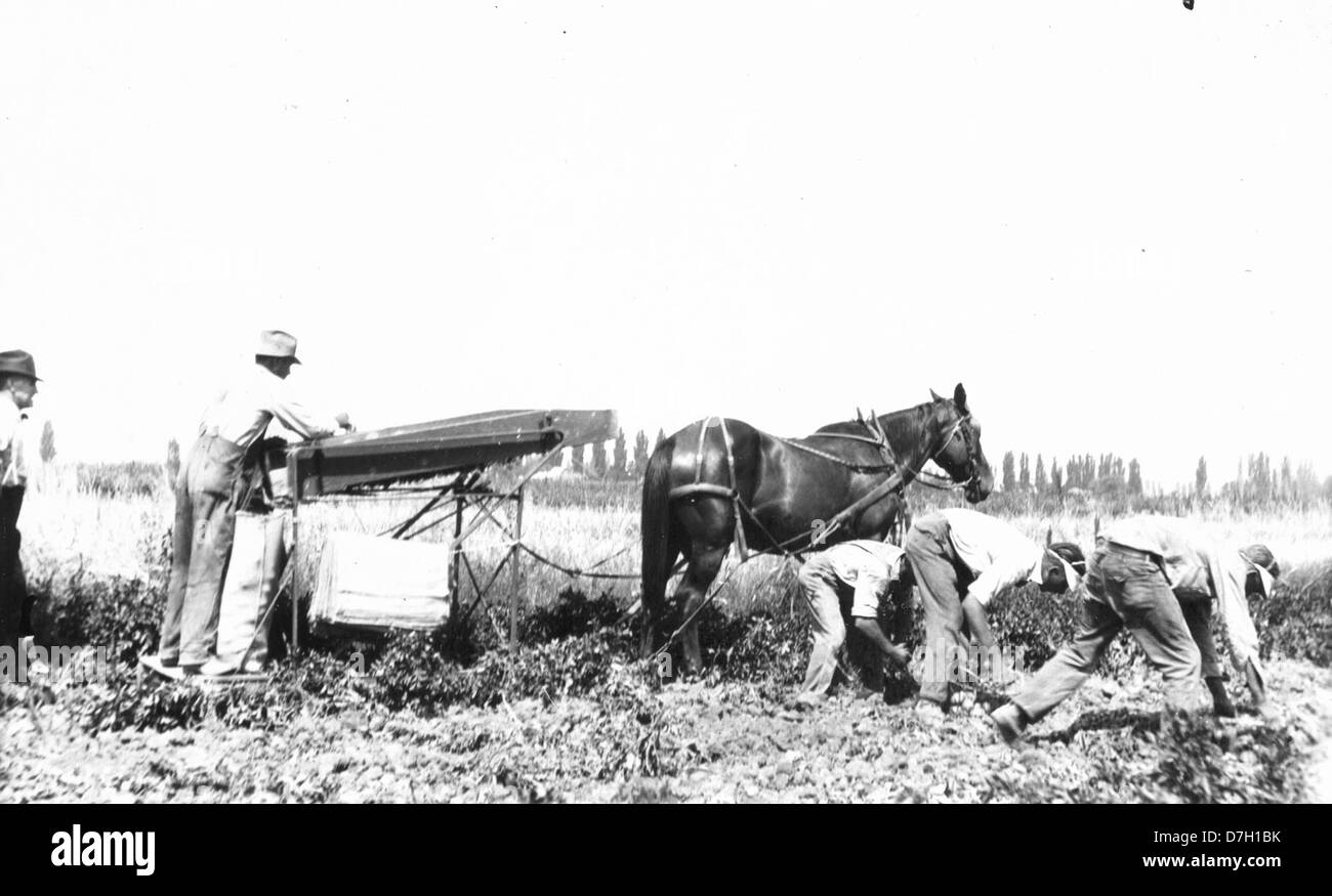 Rural america 1920s rural farm life hi-res stock photography and images ...