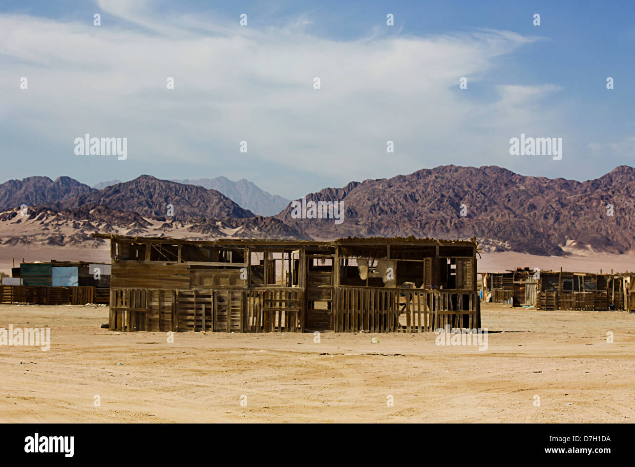 Nabq National Park Egypt Stock Photo - Alamy