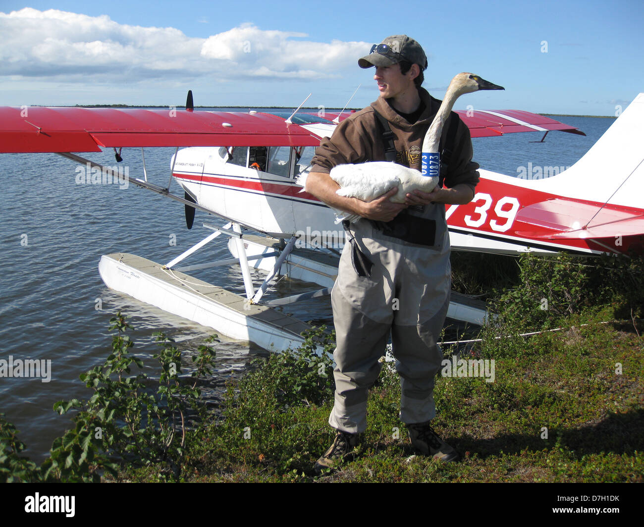 Swan service hi-res stock photography and images - Alamy