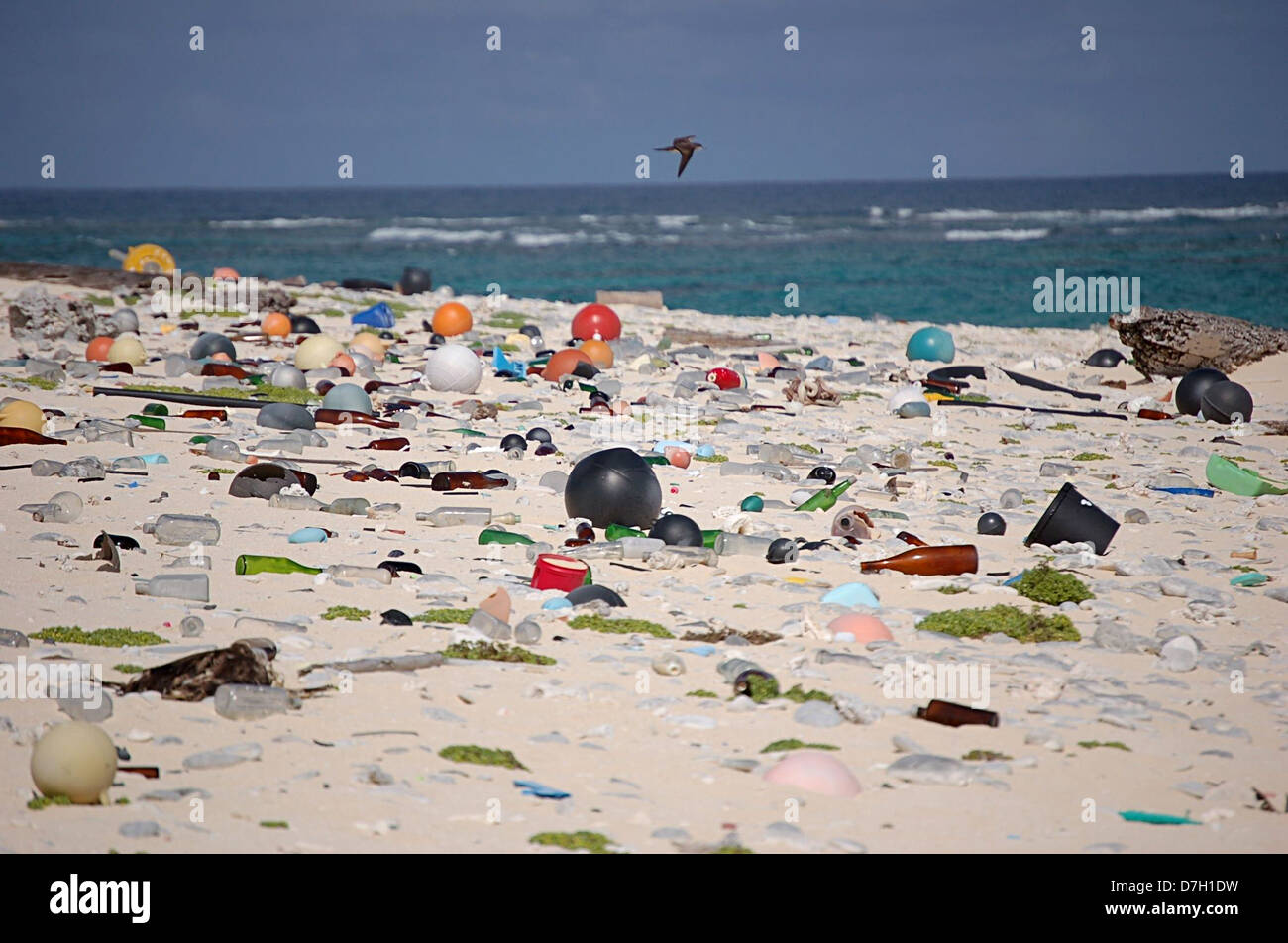Plastic and marine debris washed ashore on the beach on Laysan Island ...