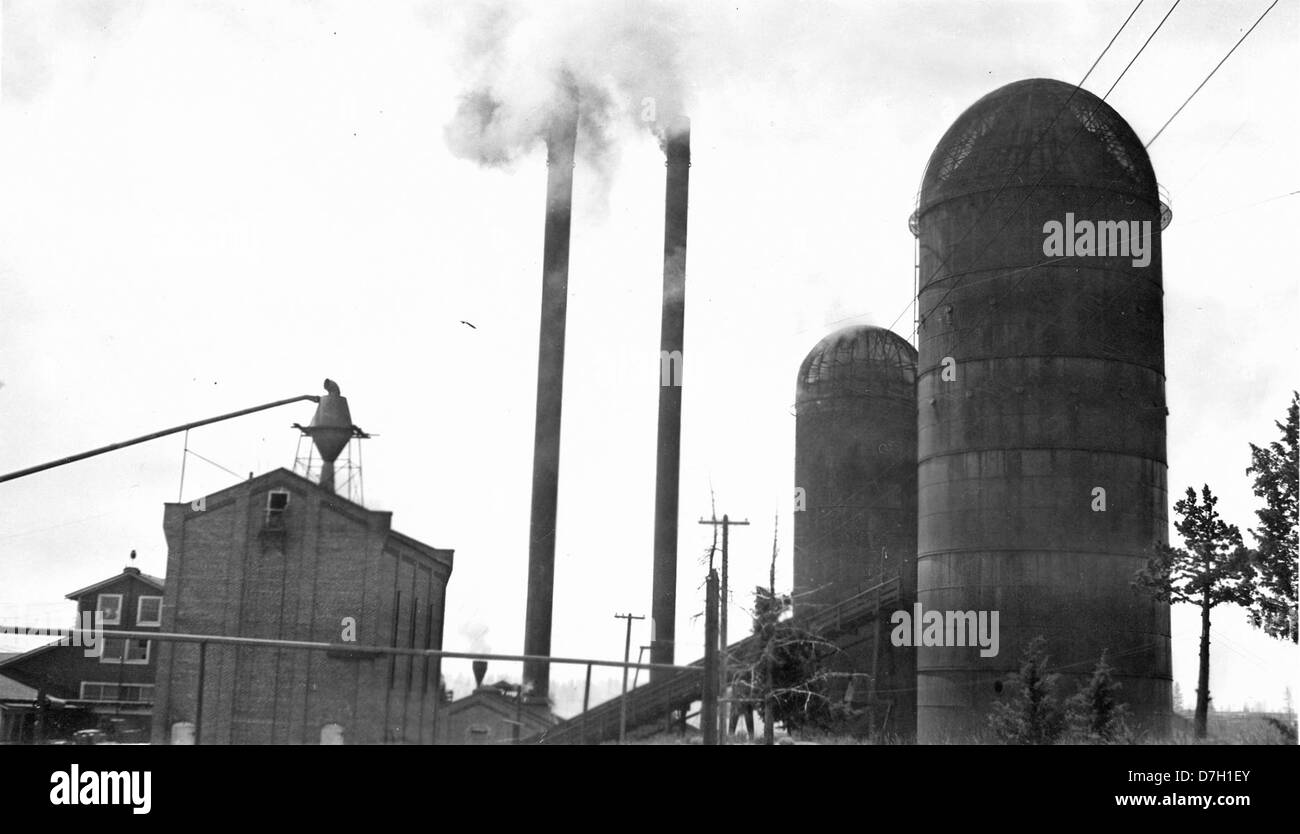 This historical photograph shows the Brooks Scanlon Lumber Company near ...