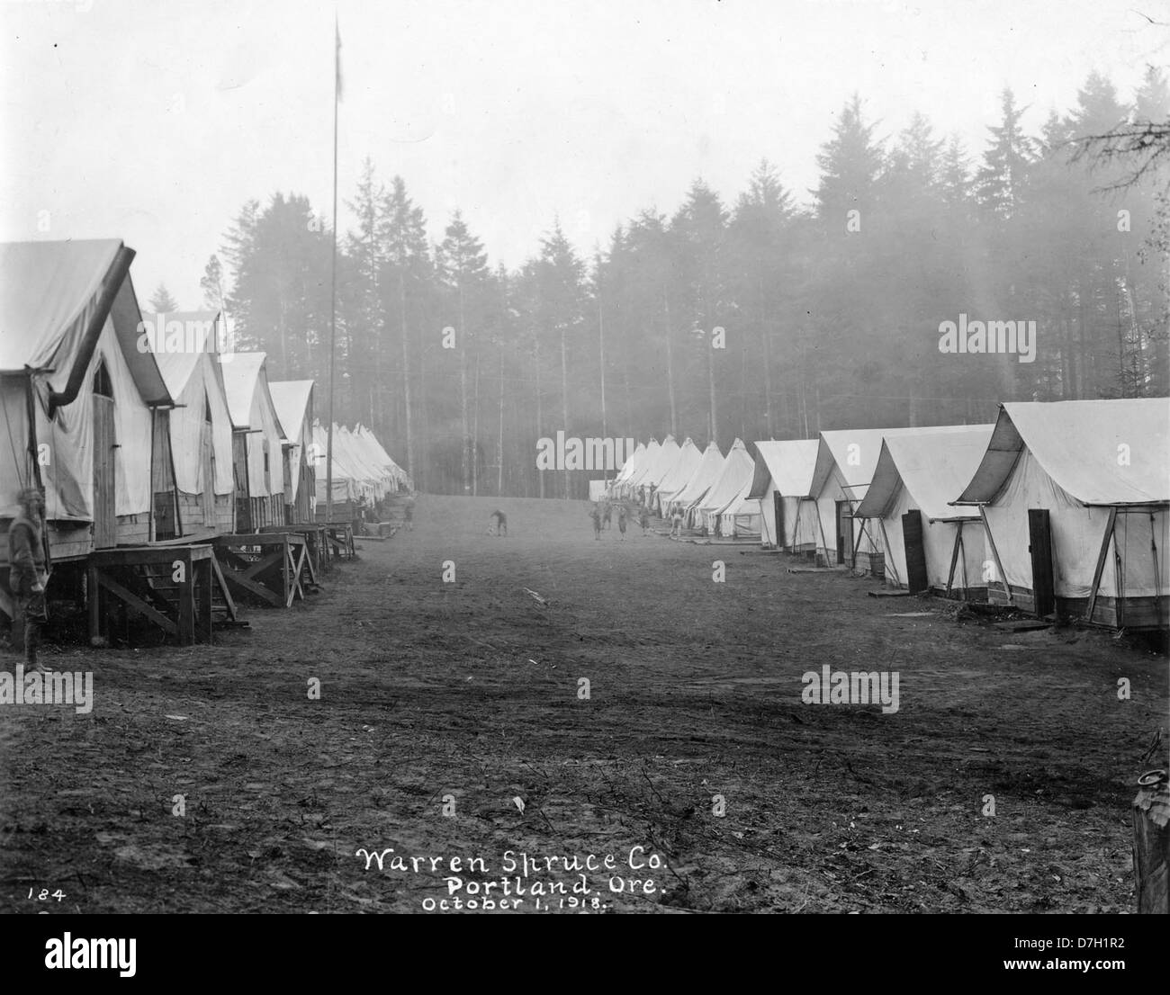 Street at Camp 2F near Waldport, Oregon, at dusk Stock Photo - Alamy
