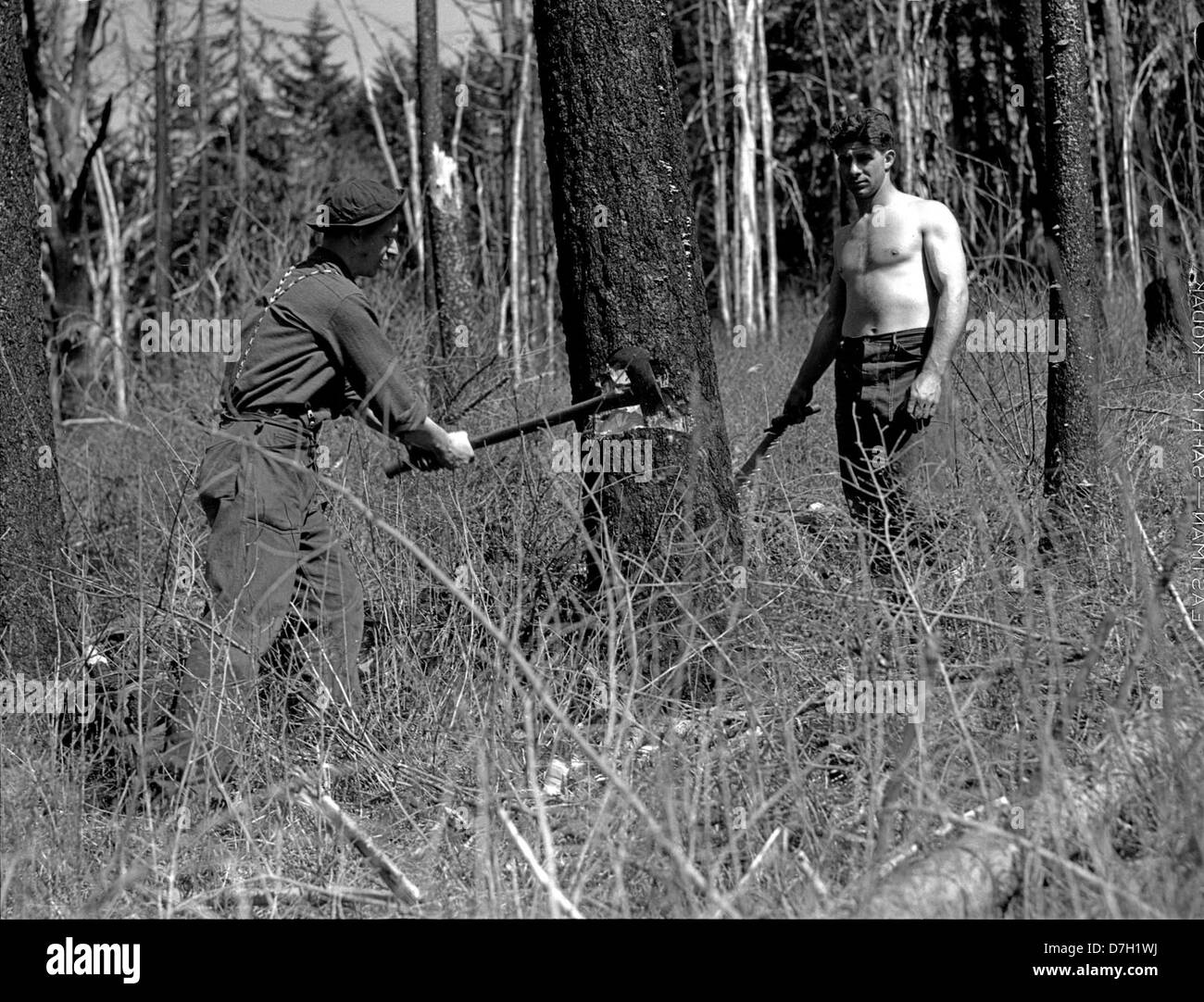 This photograph shows men of the Civilian Conservation Corps (CCC) at ...