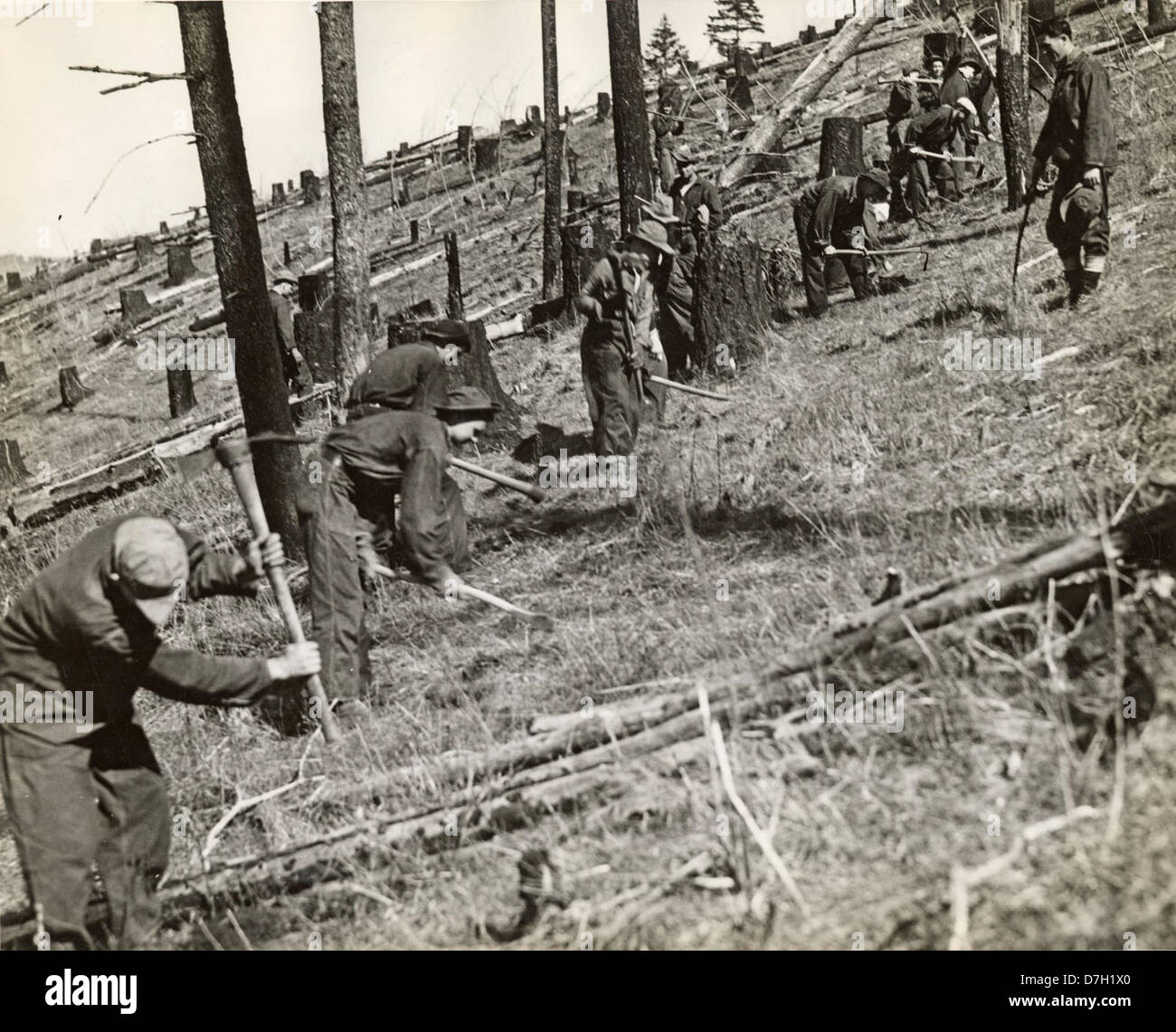 Civilian conservation corps roosevelt hi-res stock photography and ...