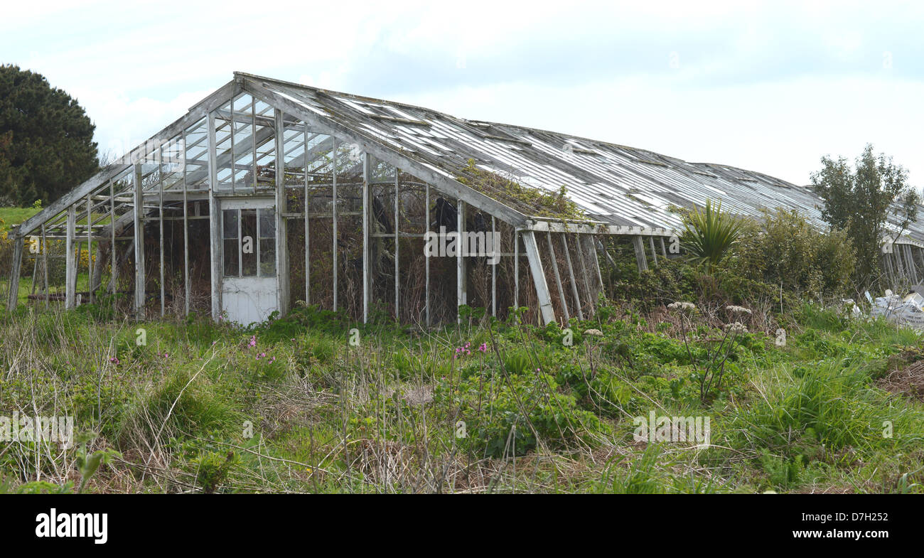 Disused greenhouse hi-res stock photography and images - Alamy