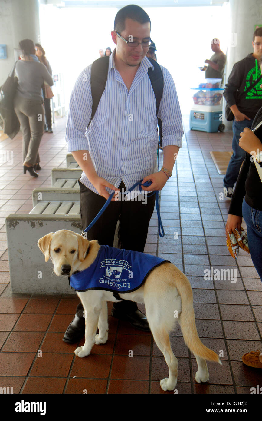 Miami Florida,Metromover,people mover,station,public transportation ...
