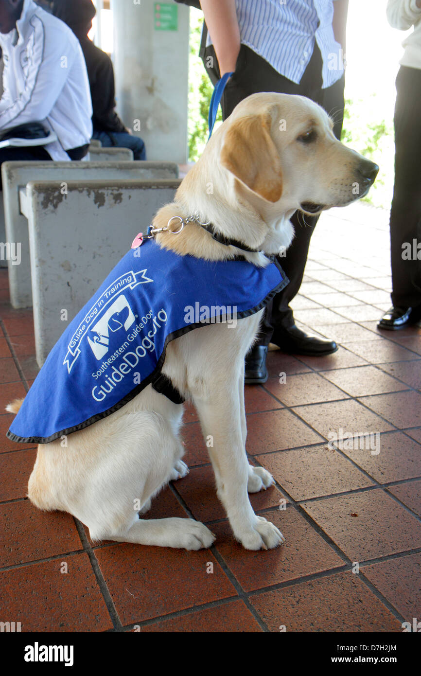 Miami Florida,Metromover,people mover,station,Hispanic man men male ...