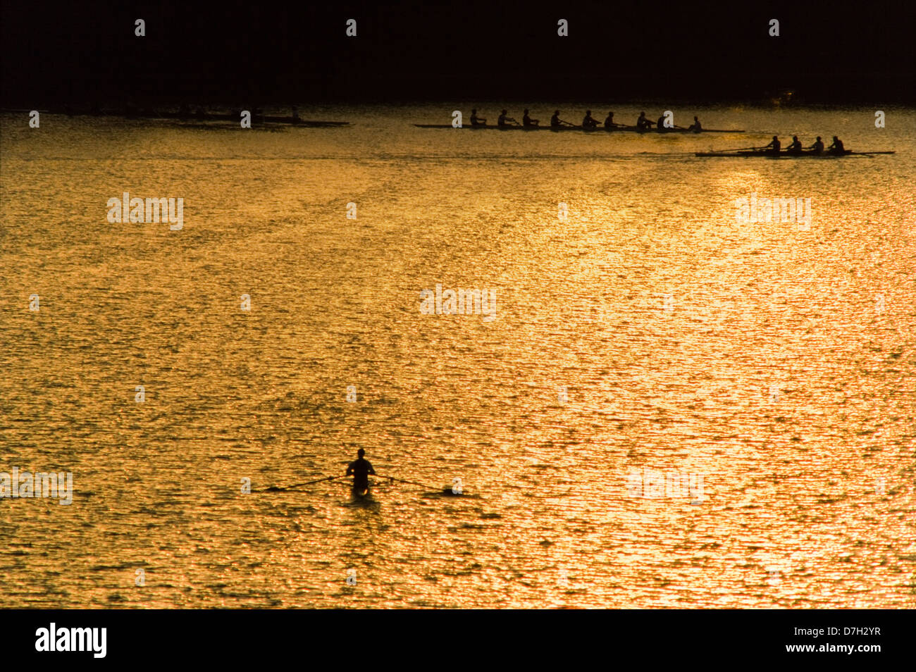 Rowing club, Miami Stock Photo - Alamy