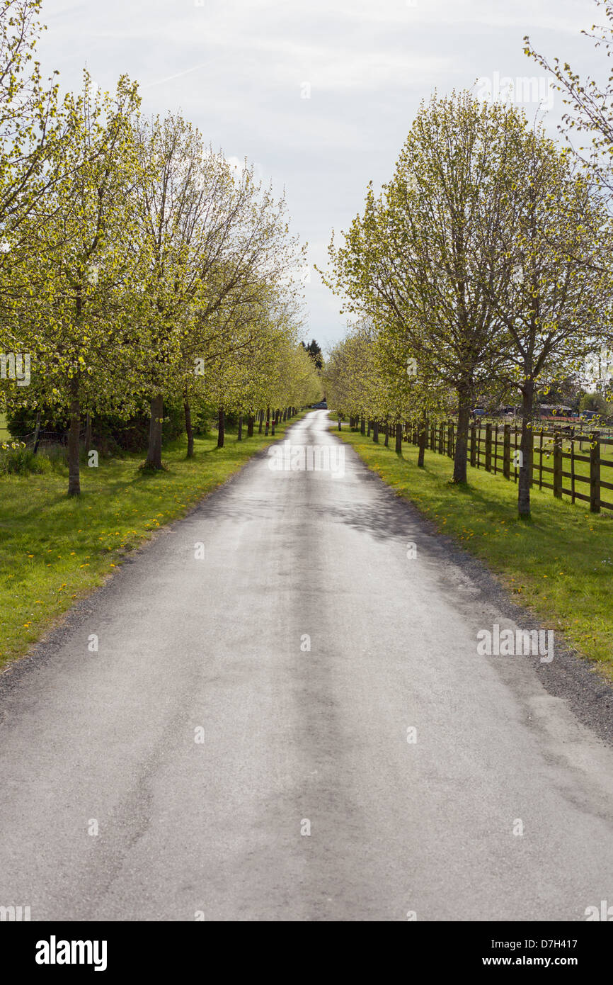 Summery path uk hi-res stock photography and images - Alamy