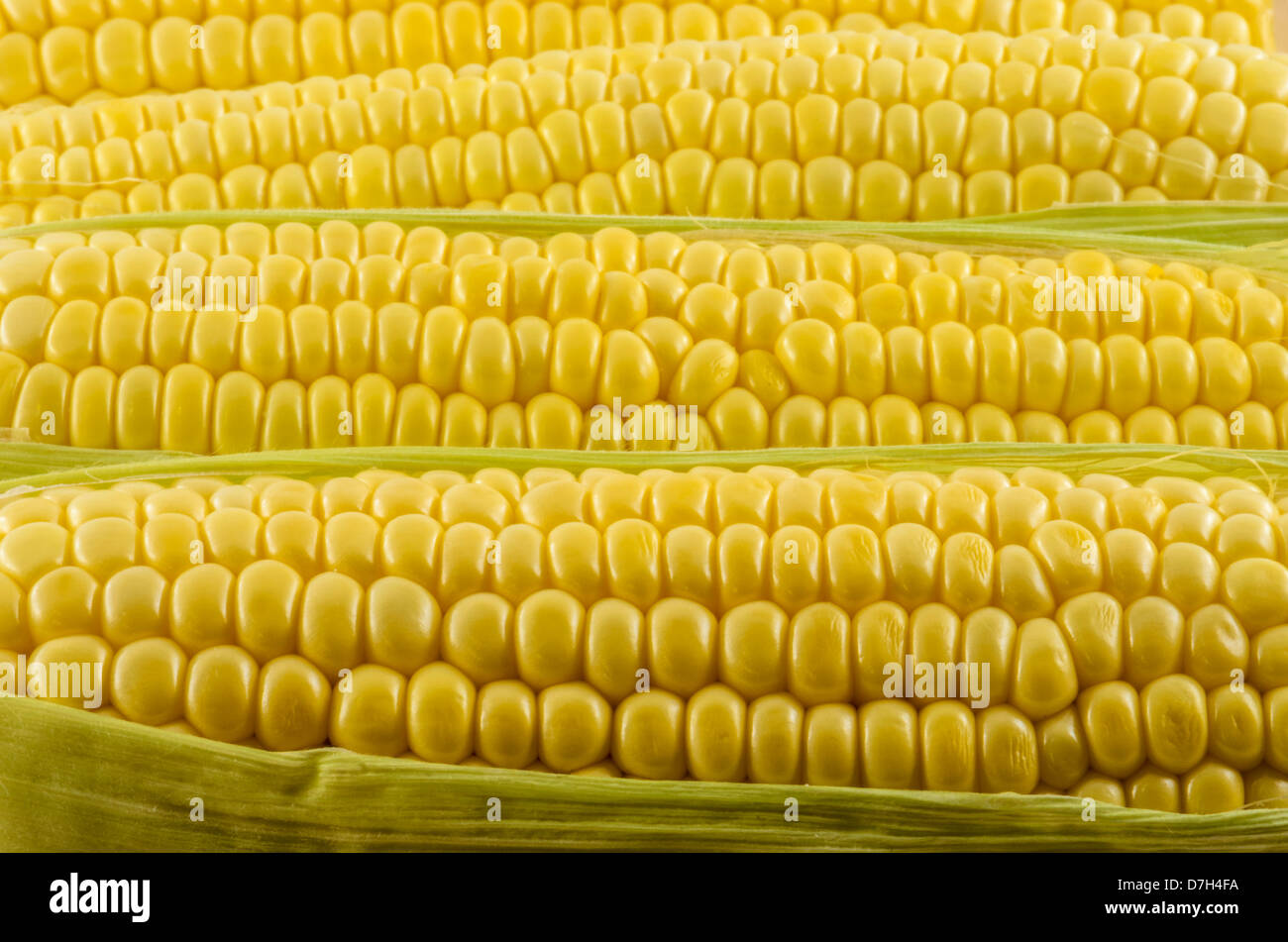 Corn Close Up 05 Stock Photo - Alamy