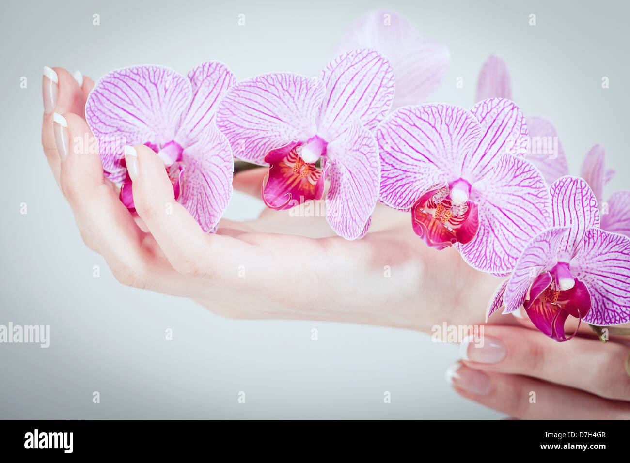 professional manicurist doing a manicure natural look Stock Photo - Alamy