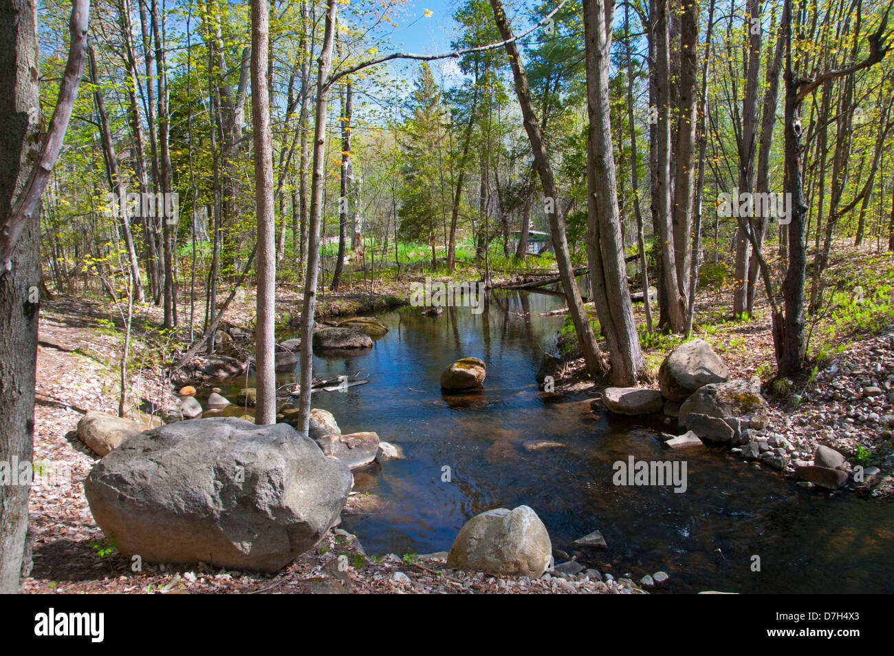 A stream in woodlands, Hudson, Quebec Stock Photo - Alamy
