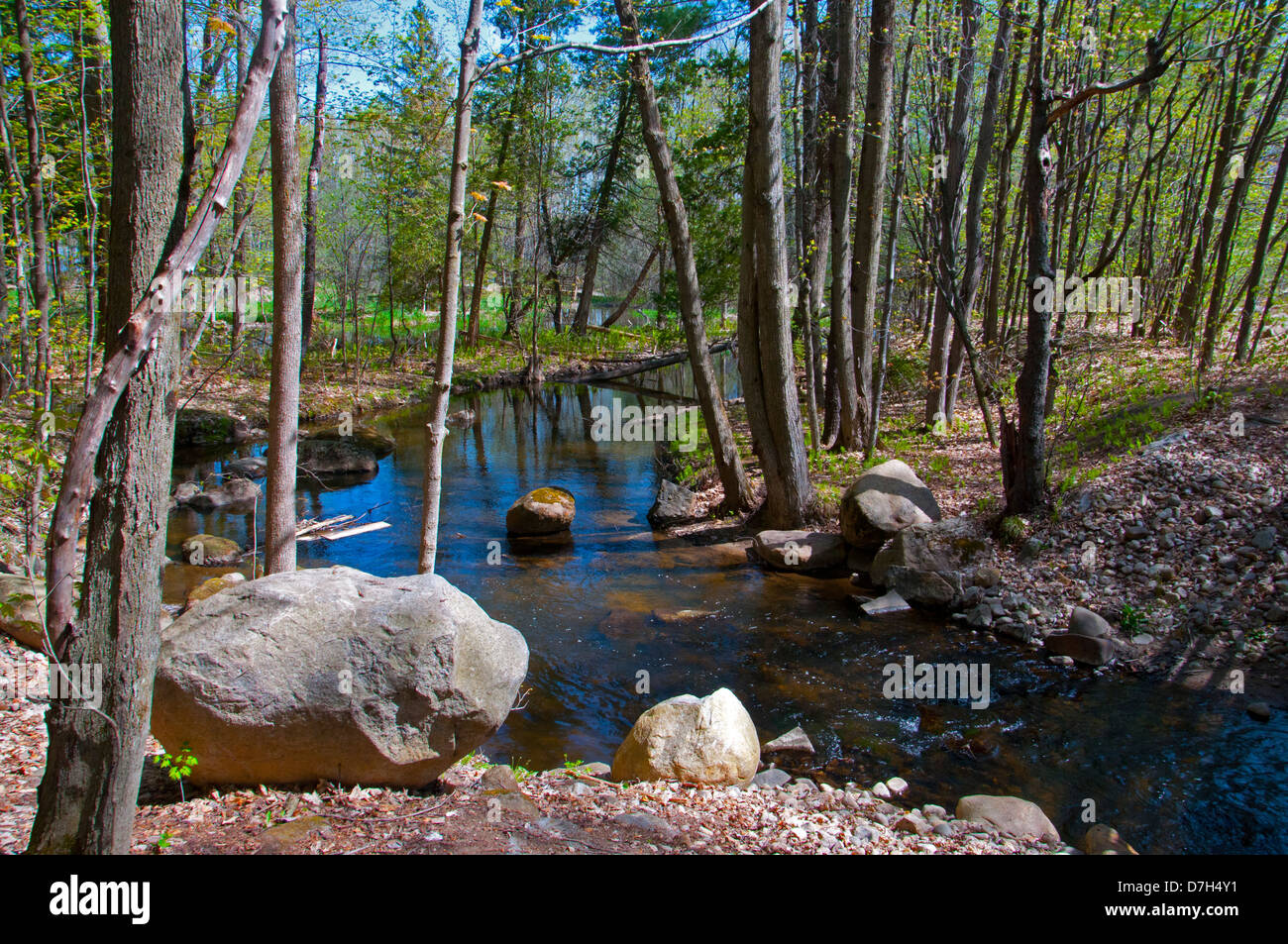 A stream in woodlands, Hudson, Quebec Stock Photo - Alamy