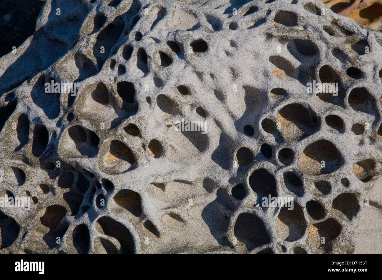 Water Eroded Rock