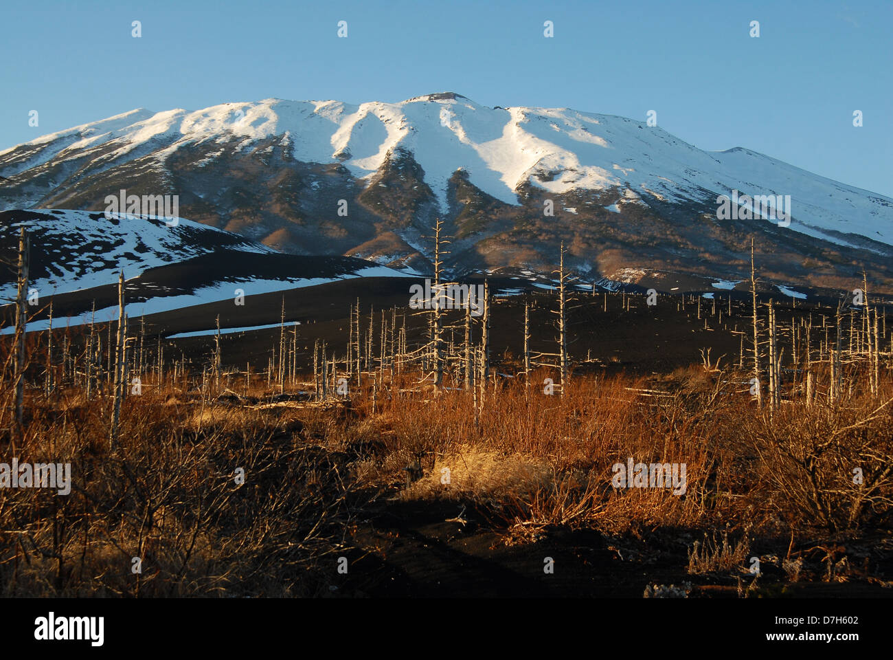 Fresh snow on Tiatia Volcano at the Pacific ocean coast on the Kunashir ...