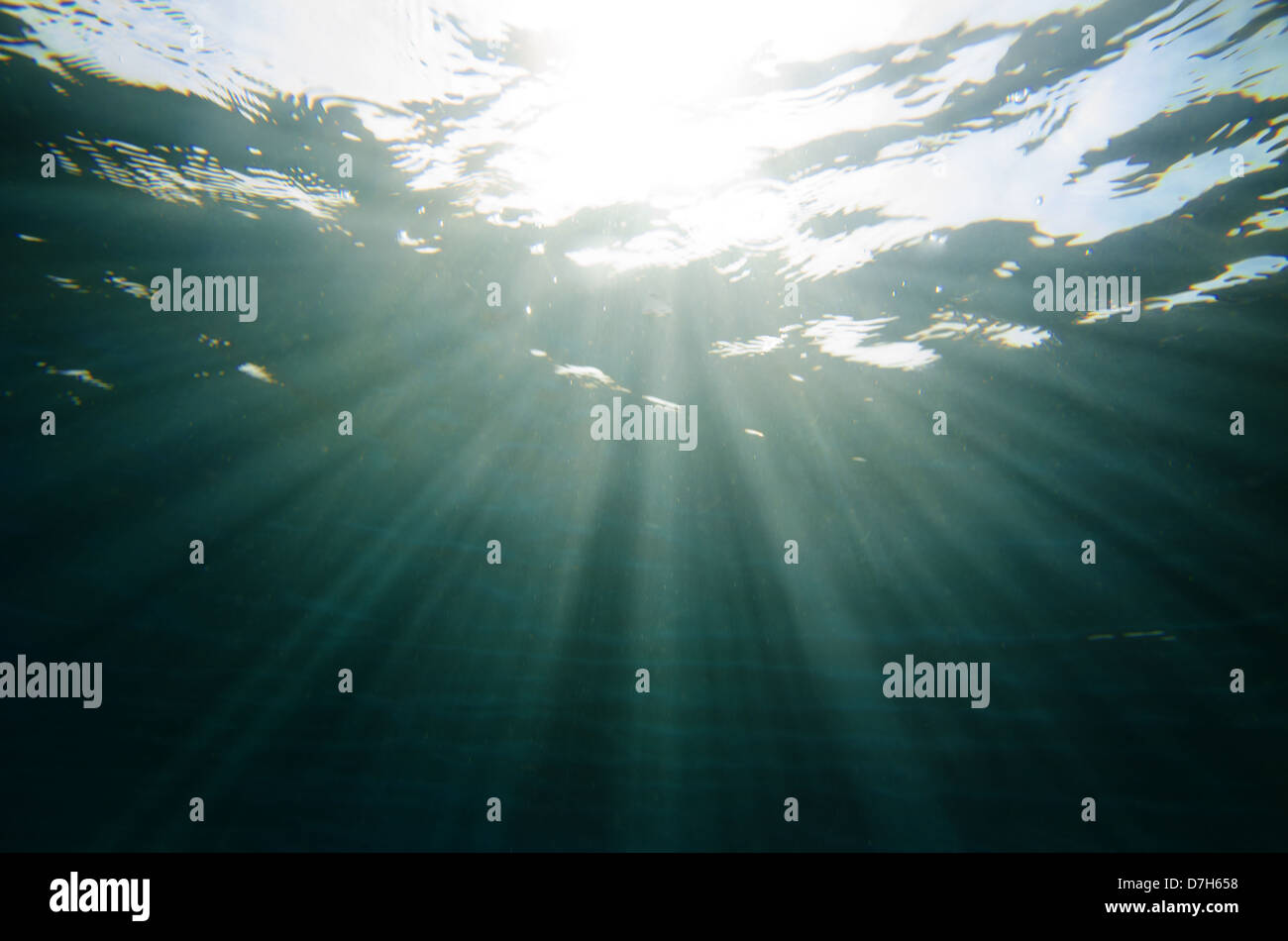 scuba diving shot of underwater sea with sun ray Stock Photo - Alamy