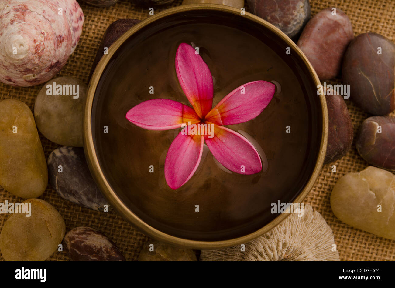 tropical spa setup with traditional frangipani flower and massage items ...