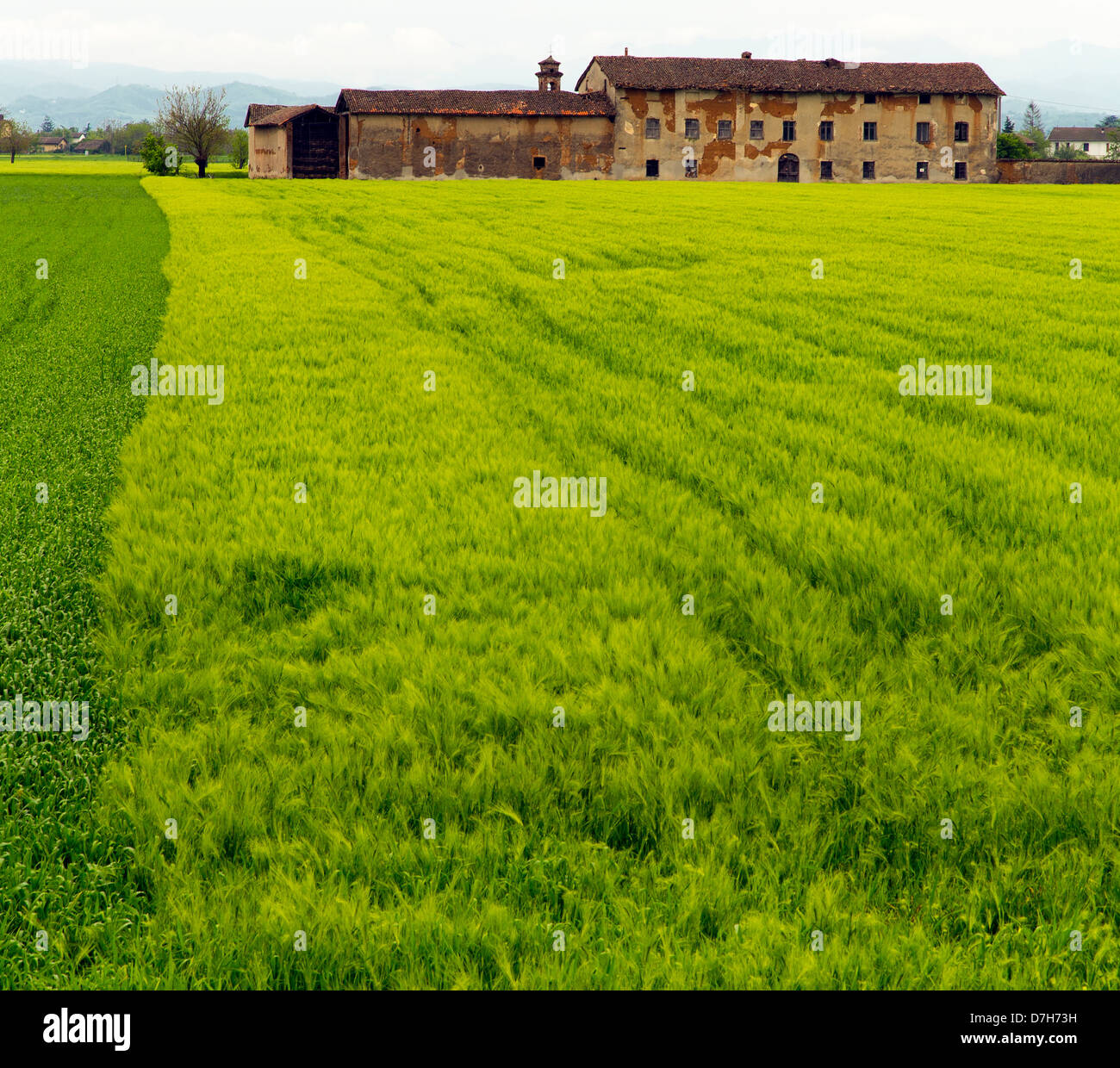 Farmhouse in the green field Stock Photo - Alamy