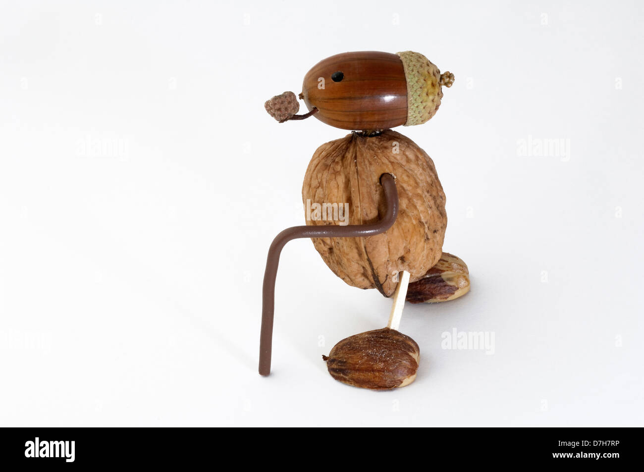 Figure walking man made of acorns walnut Studio picture against white ...