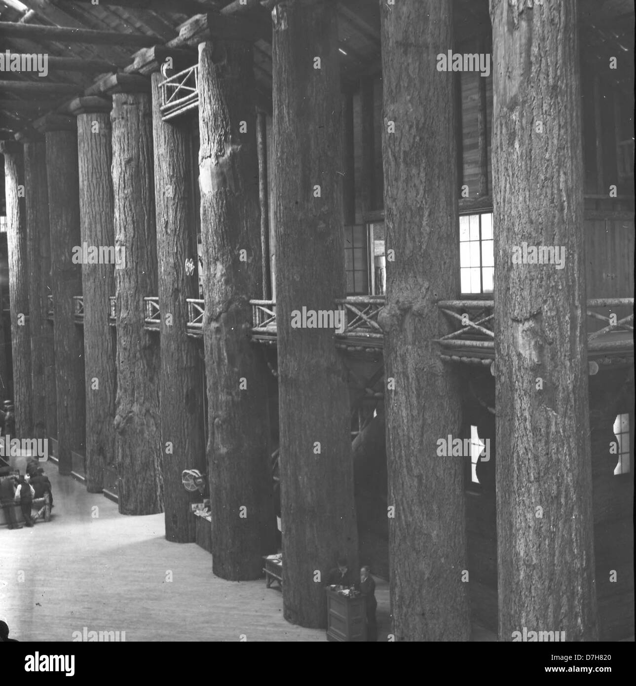 Forestry archives hi-res stock photography and images - Alamy