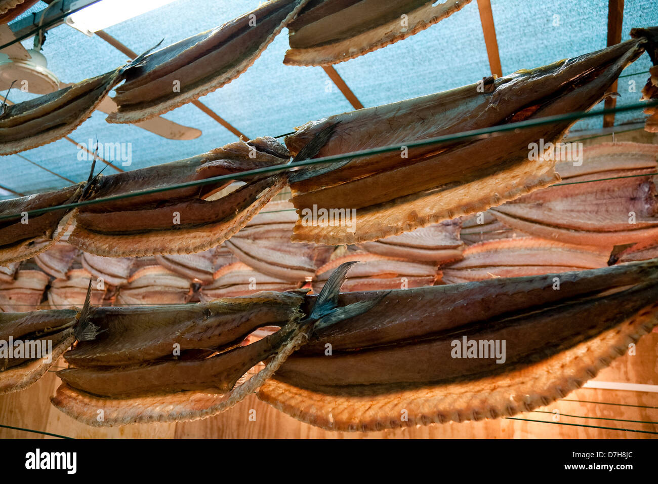 Snoek Food High Resolution Stock Photography and Images - Alamy