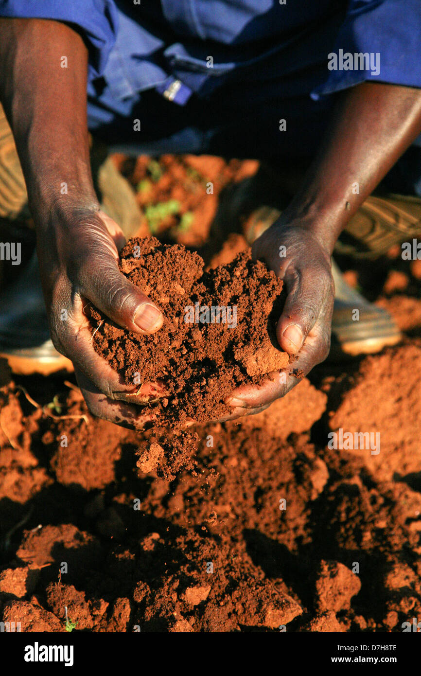 Close up of African hands working in the dirt Stock Photo - Alamy
