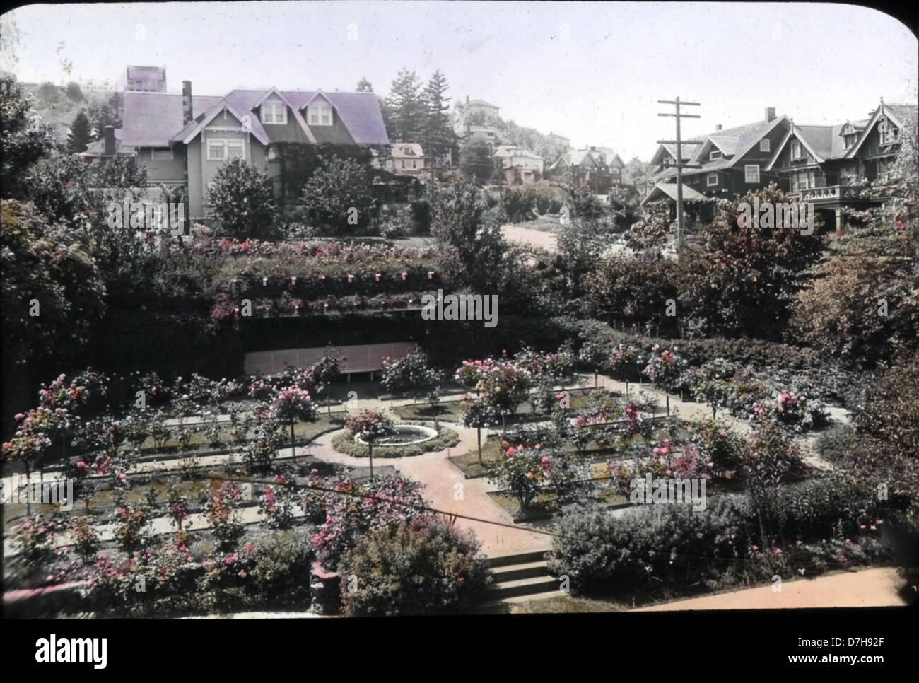A scenic photograph of J.P. Cooke's Rose Garden in Portland, Oregon ...