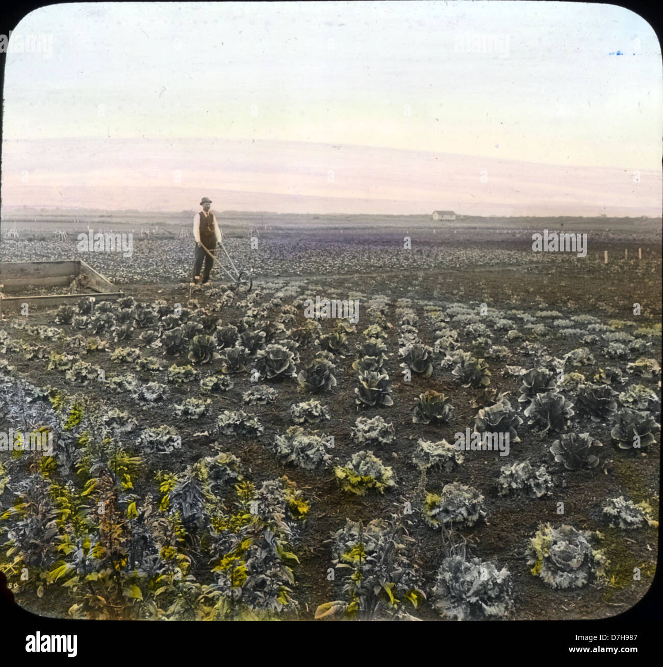 Diversified farming hi-res stock photography and images - Alamy