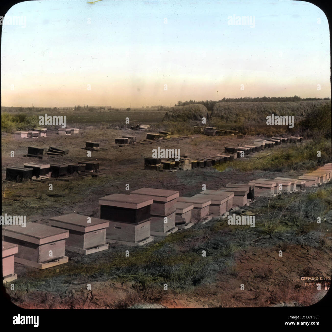 This historical photograph, from Oregon Industries circa 1905-1910 ...