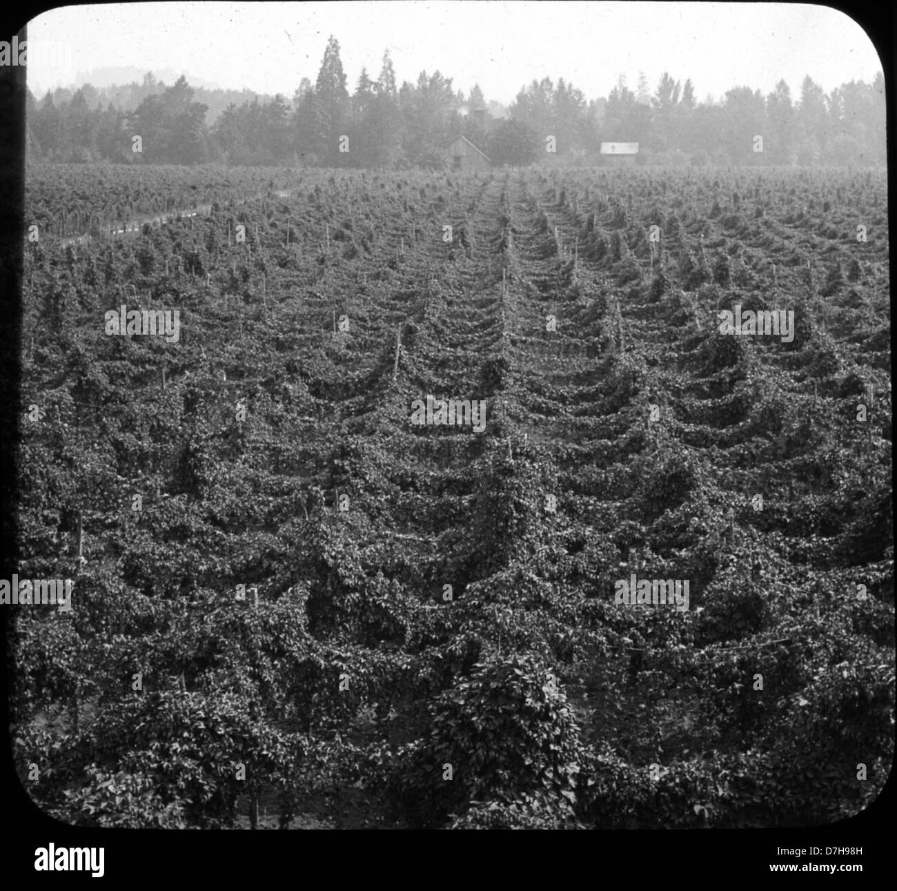 Archives agriculture Black and White Stock Photos & Images - Alamy