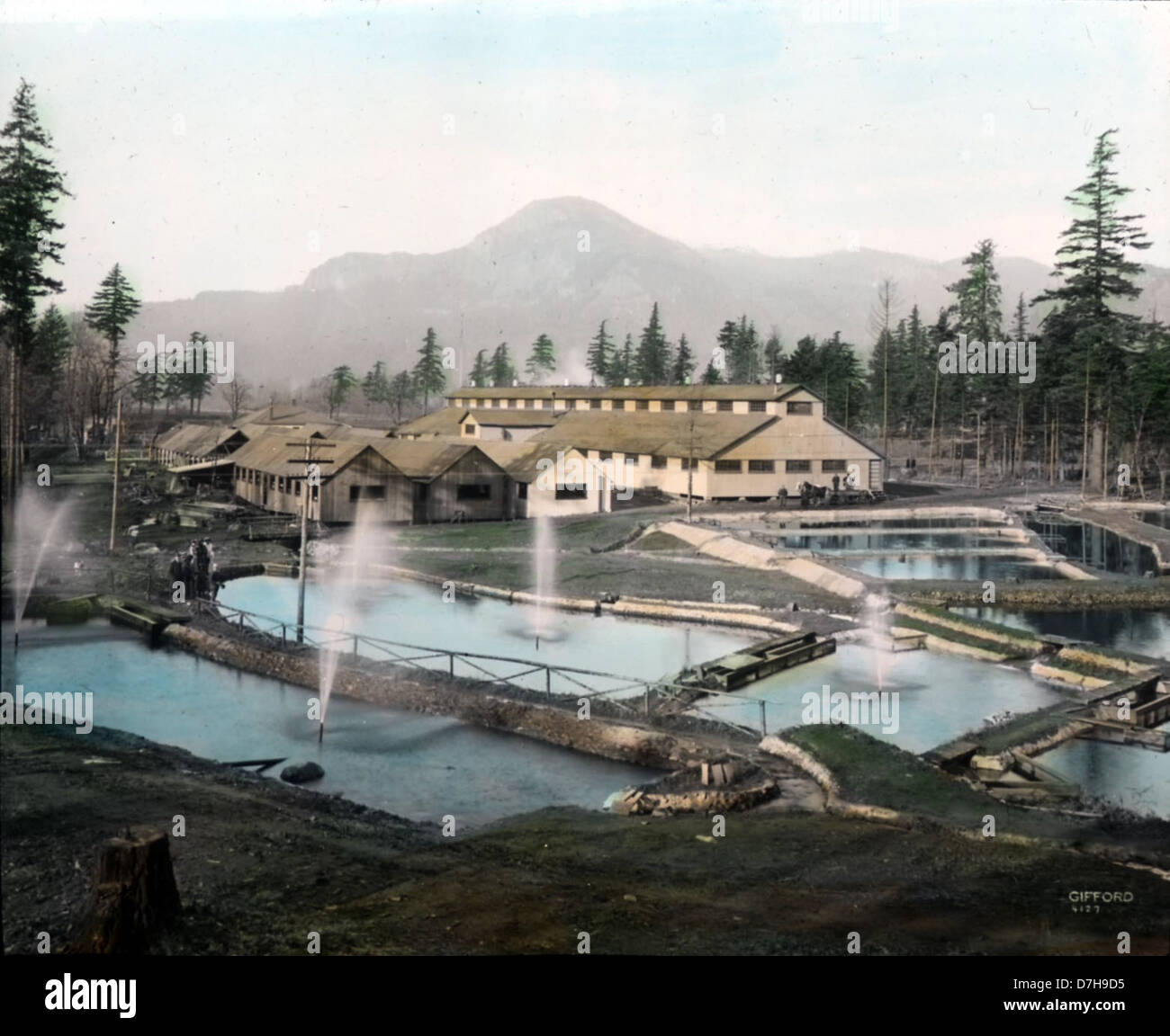 The Bonneville Hatchery in Oregon, shown in archival images from 1905 ...